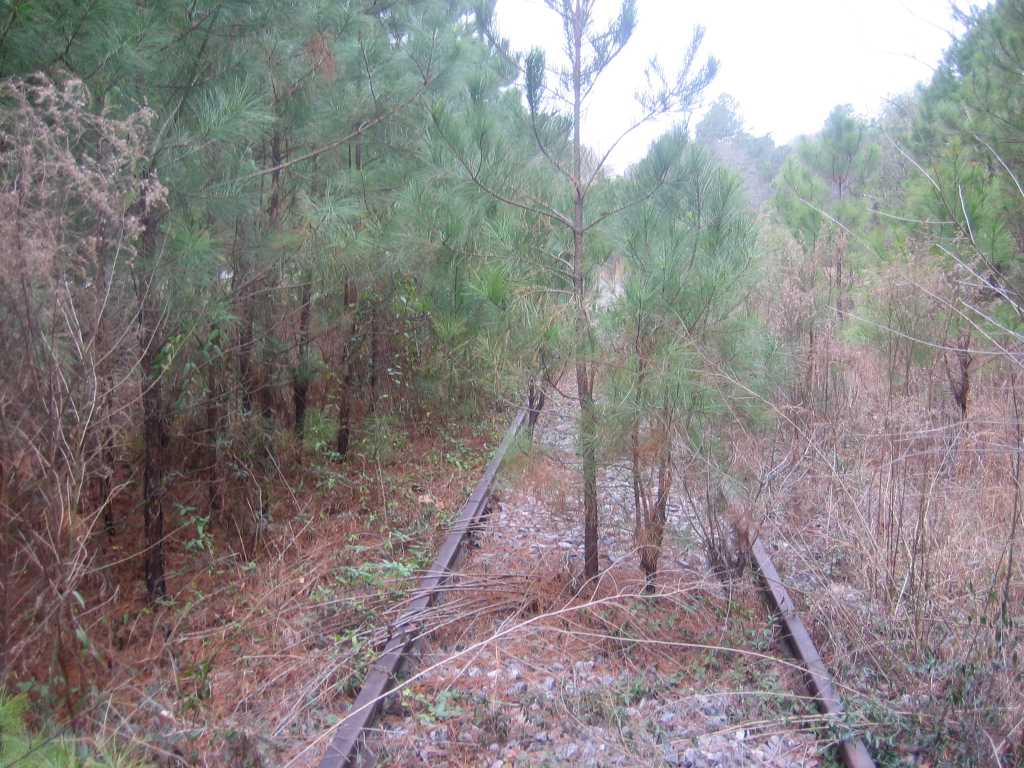Dunbarton South Carolina 2008